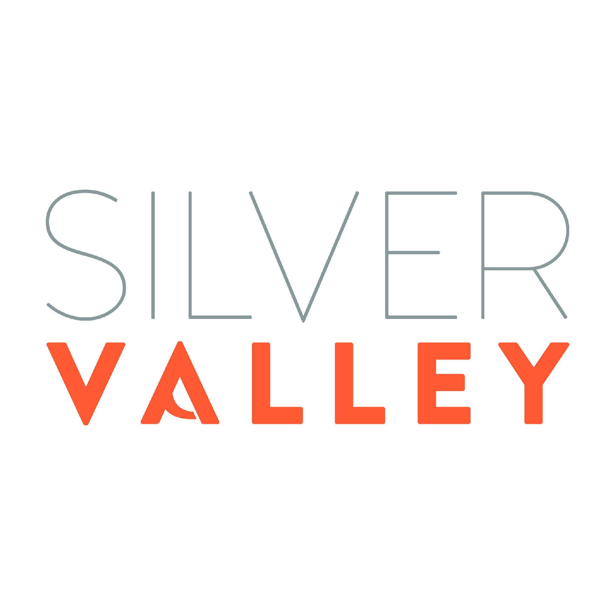Silver Valley - Silver Valley